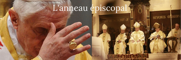 e4174e8740798675827987add24fbd4d.png?v=1610037150